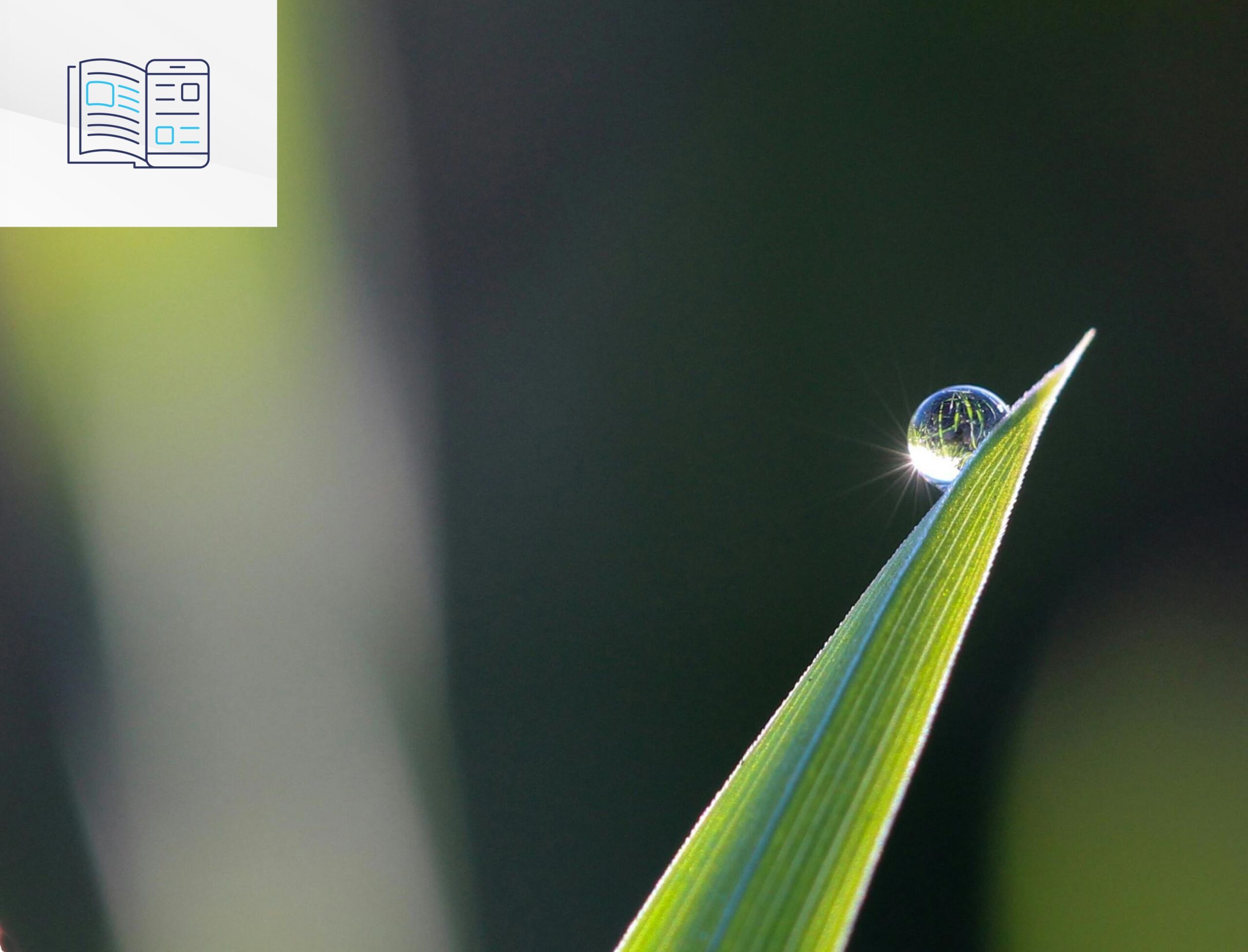 Position Paper: Silicones play a crucial role in meeting EU policy ...